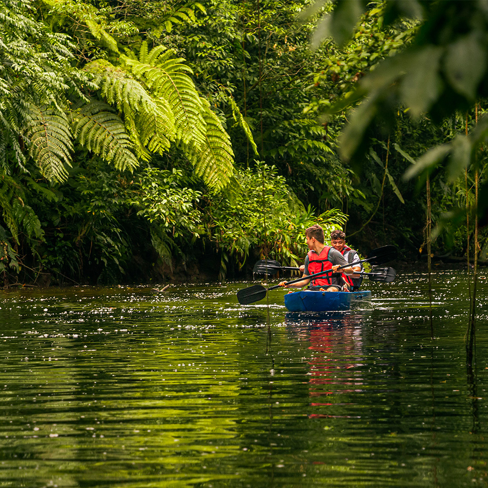 Rio Jaguareguava 2025 - White Bear Ecoturismo