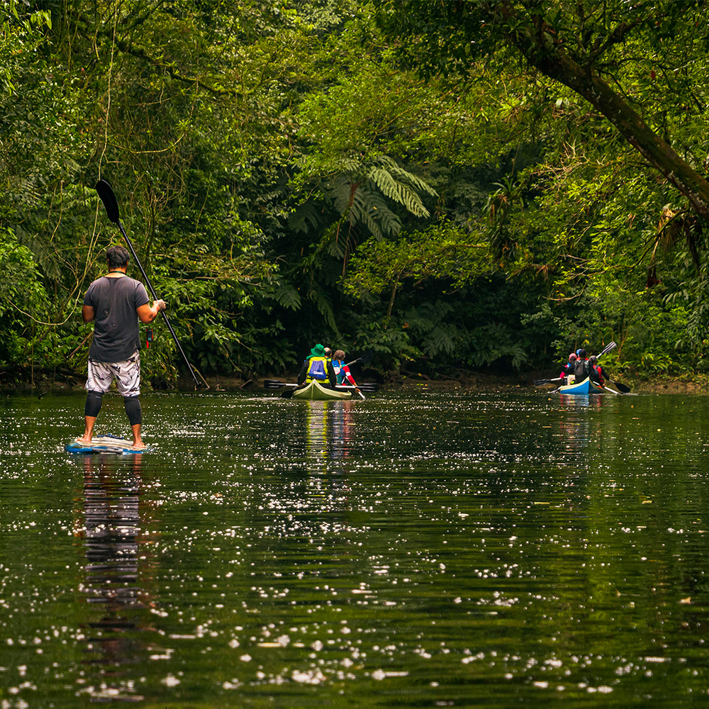 Rio Jaguareguava 2025 - White Bear Ecoturismo