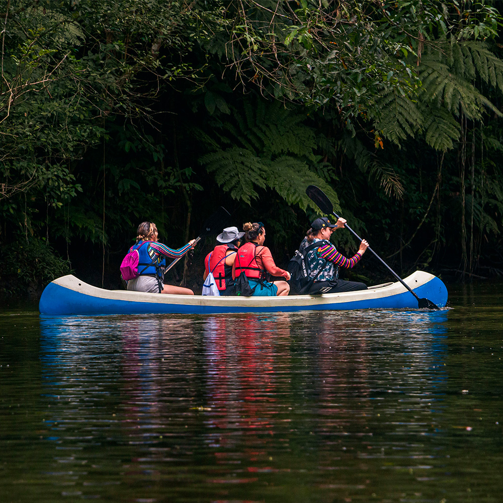 Rio Jaguareguava 2025 - White Bear Ecoturismo